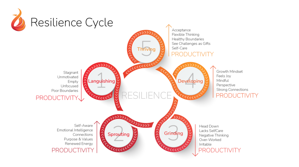 The Cycle of Resilience - Radical Ignition