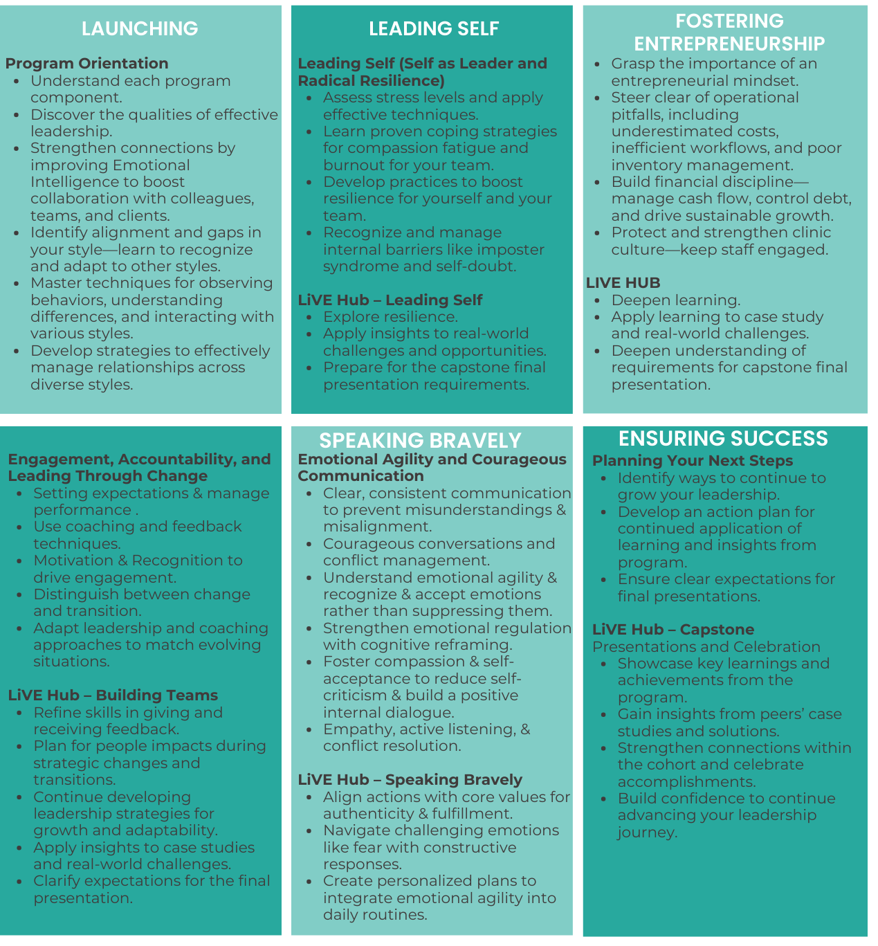 VetLeader Coaching LiVE Intensive Cohort - Radical Ignition