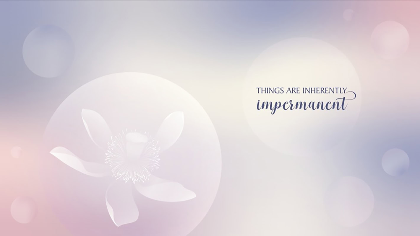 Embracing Impermanence - Radical Ignition